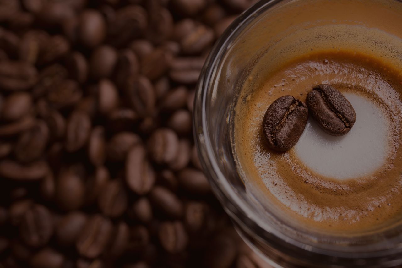 Maroon Cafe & Bar - Cafe Maroon